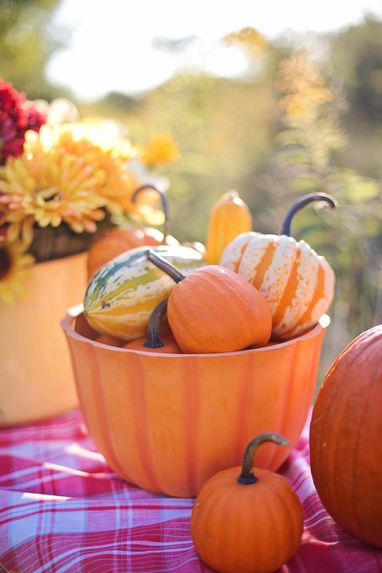 How to Decorate with Mini Pumpkins - Blooming Anomaly