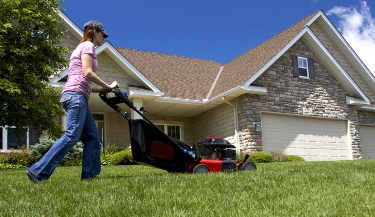 How Outdoor Power Equipment Makes Yard Care Easy - Blooming Anomaly