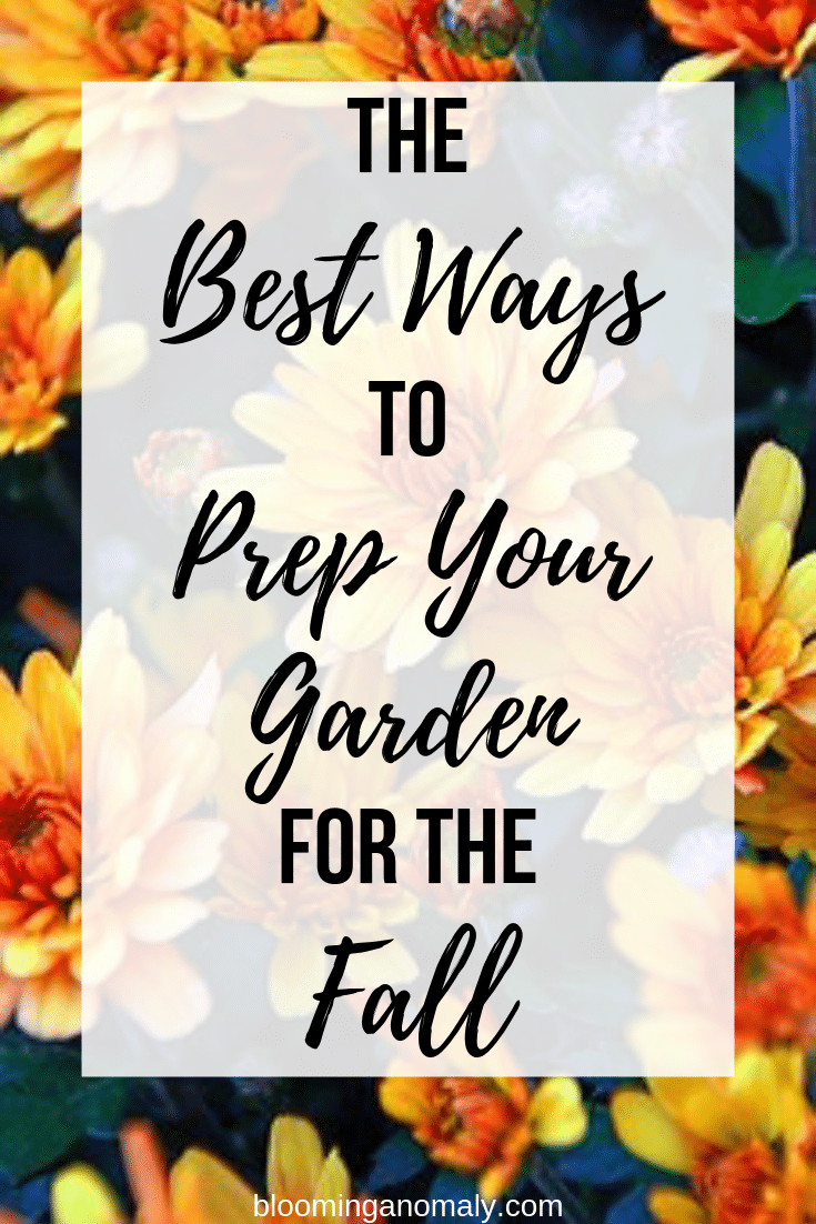 The Best Ways to Prep Your Garden for the Fall • TasteAndCraze
