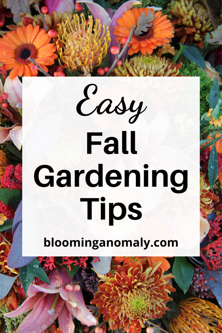 Easy Fall Gardening Tips - Blooming Anomaly