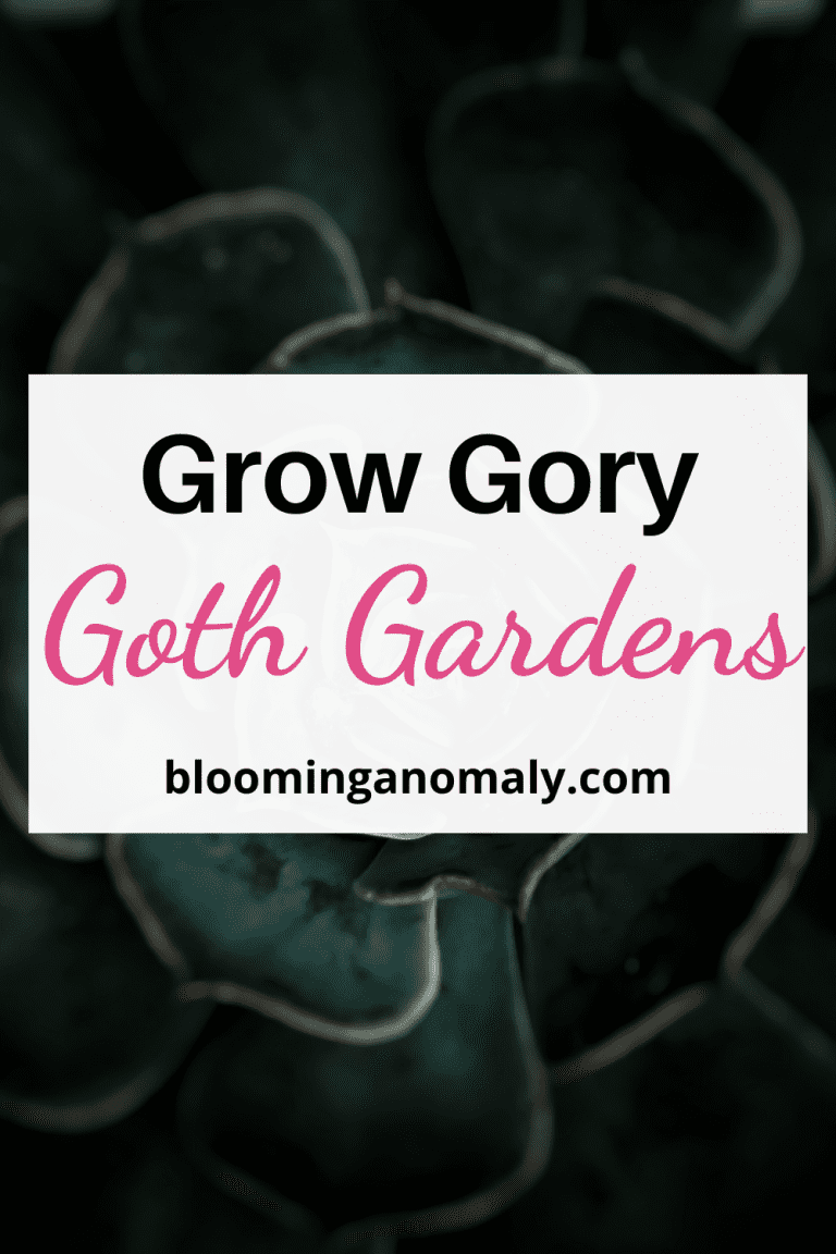 How to Grow Gory Goth Gardens - Blooming Anomaly