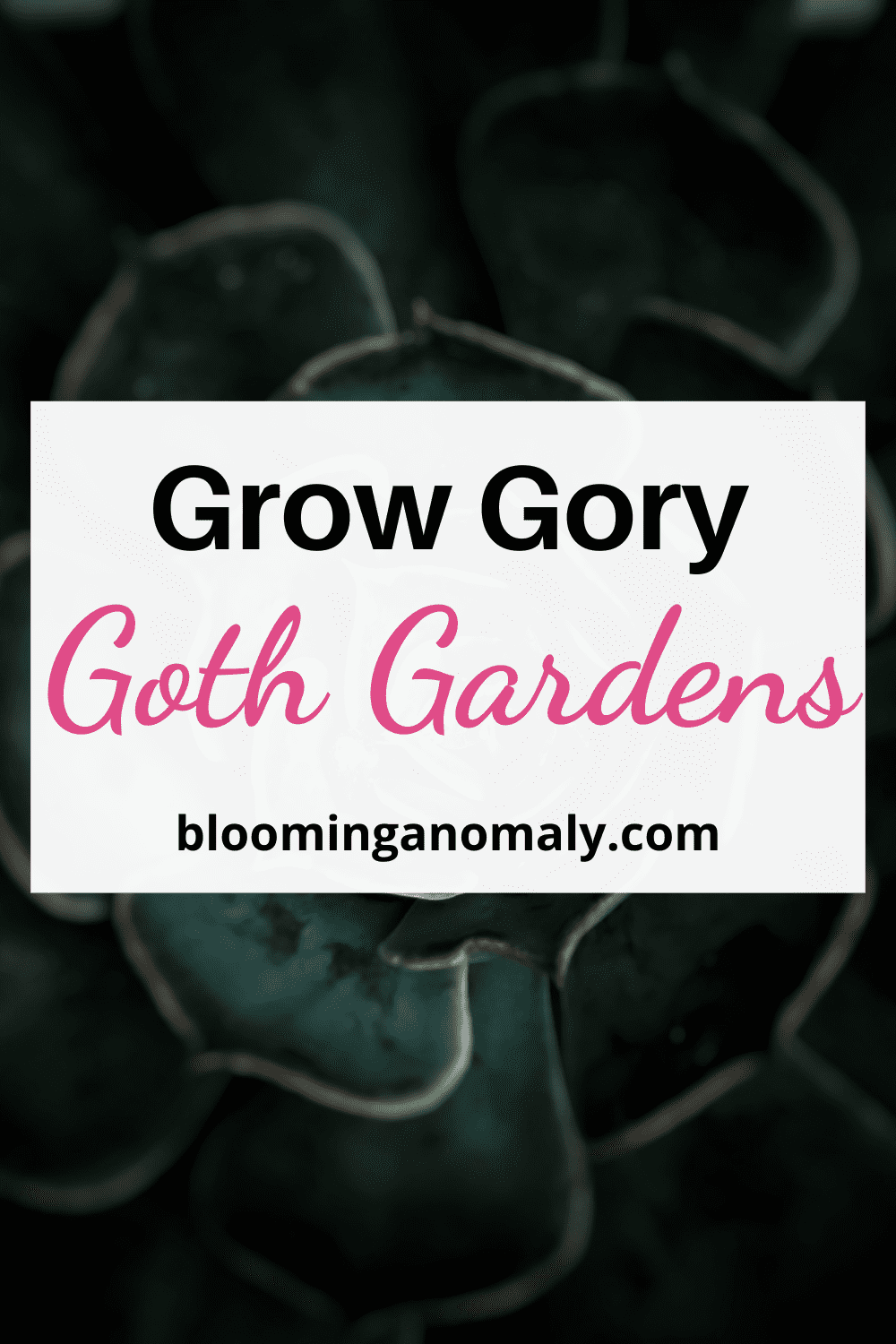 How to Grow Gory Goth Gardens - Blooming Anomaly