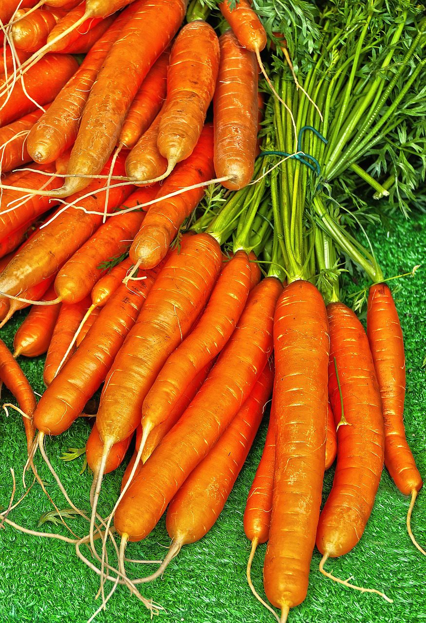 The Ultimate Guide to Growing Carrots - Blooming Anomaly