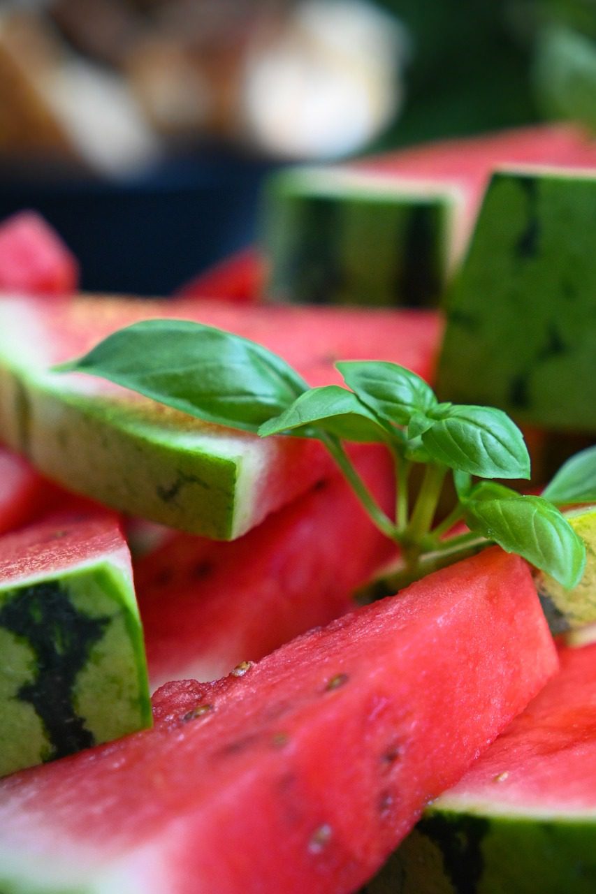 Growing Watermelon Plant Stages Guide - Blooming Anomaly