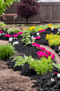 14 Best Black Mulch Landscaping Ideas - Blooming Anomaly