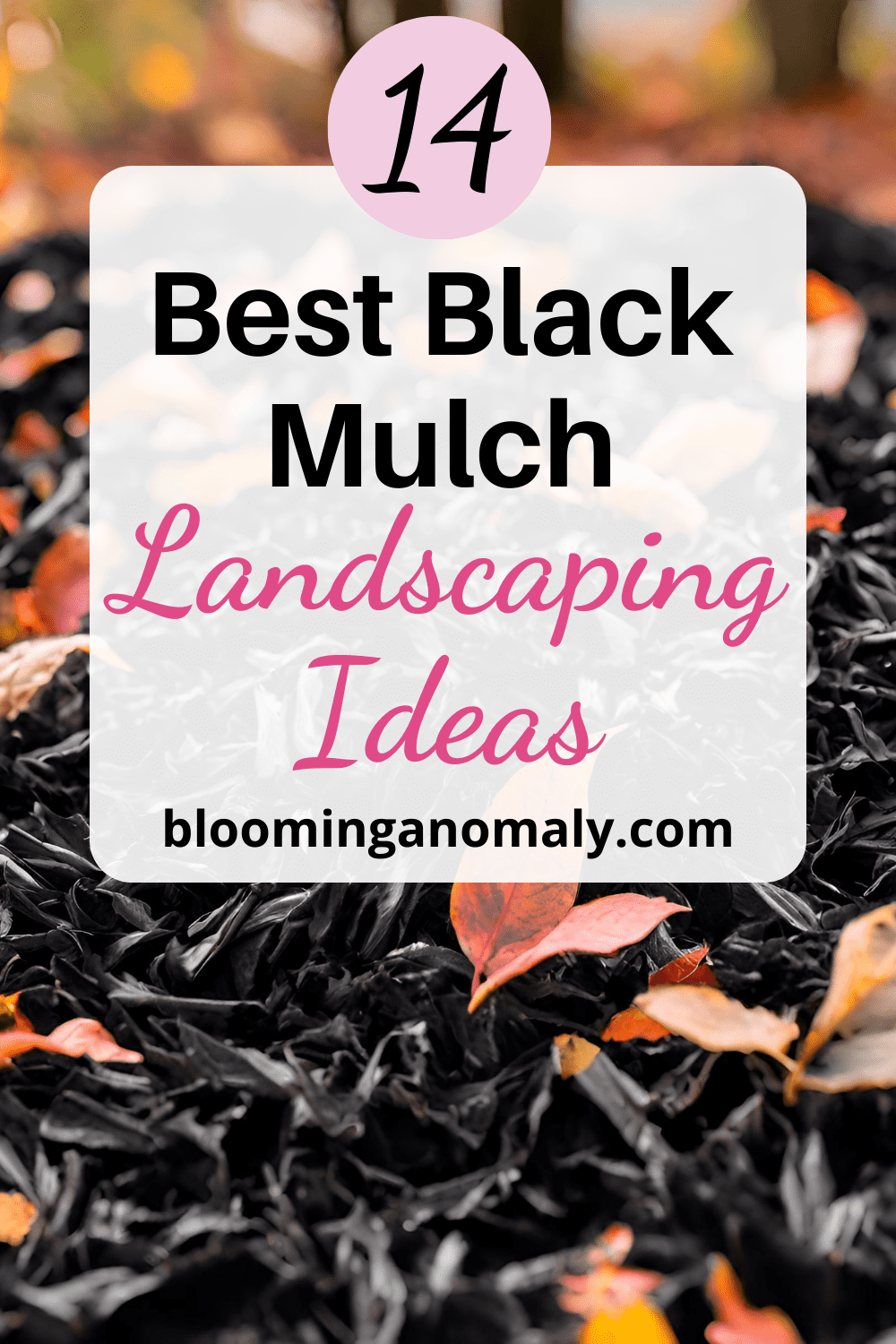 14 Best Black Mulch Landscaping Ideas - Blooming Anomaly