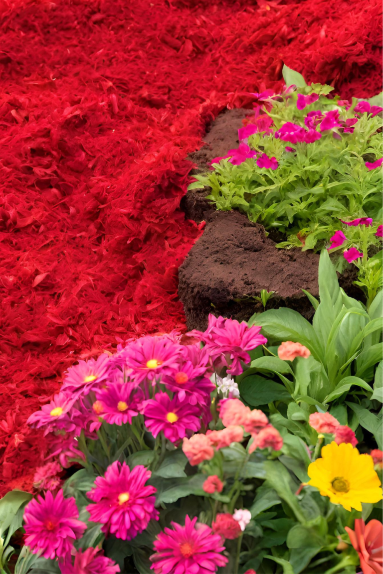 Red Mulch Landscaping Ideas: Enhance Your Garden - Blooming Anomaly