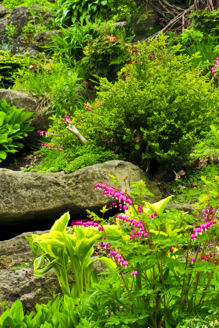 The Best Perennials for Rock Gardens in 2023 - Blooming Anomaly