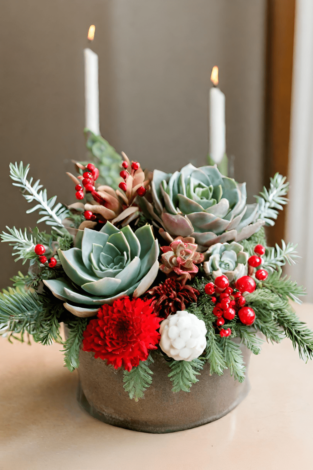 9 Christmas Succulent Ideas for the Holiday Season - Blooming Anomaly