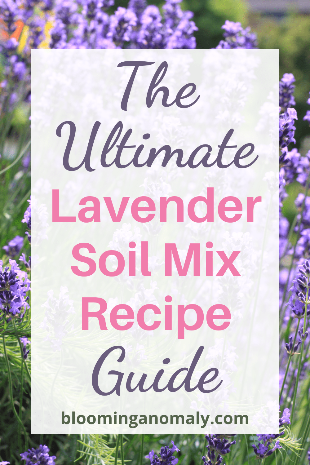 The Ultimate Lavender Soil Mix Recipe Guide - Blooming Anomaly