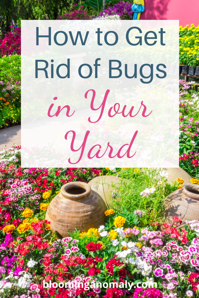 How to Get Rid of Bugs in Your Yard for Good - Blooming Anomaly